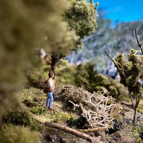 WETLAND DIORAMA - Megalodon Projects