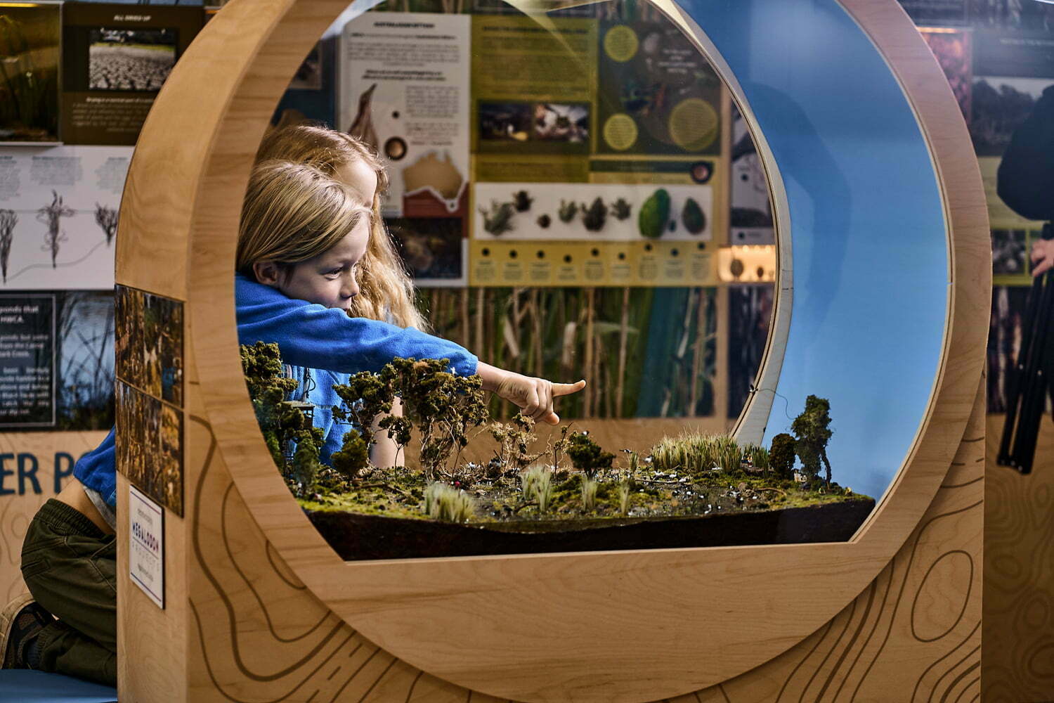 WETLAND DIORAMA - Megalodon Projects