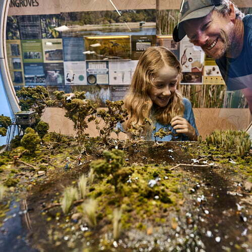 WETLAND DIORAMA - Megalodon Projects