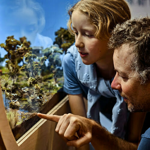 WETLAND DIORAMA - Megalodon Projects